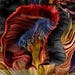 Canvas Print “misregistration in Cobalt and Coral” | Abstract ...