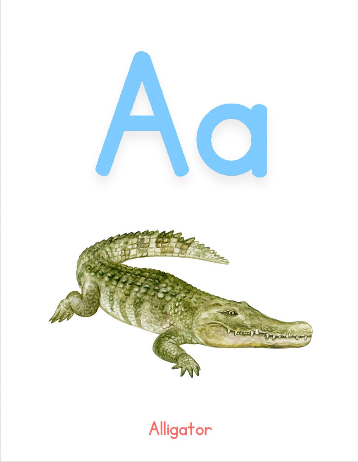 Animal Alphabet Cards - Digital Download, Alphabet Flash Cards ...