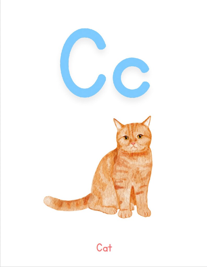 Animal Alphabet Cards - Digital Download, Alphabet Flash Cards ...