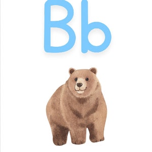 Animal Alphabet Cards - Digital Download, Alphabet Flash Cards ...