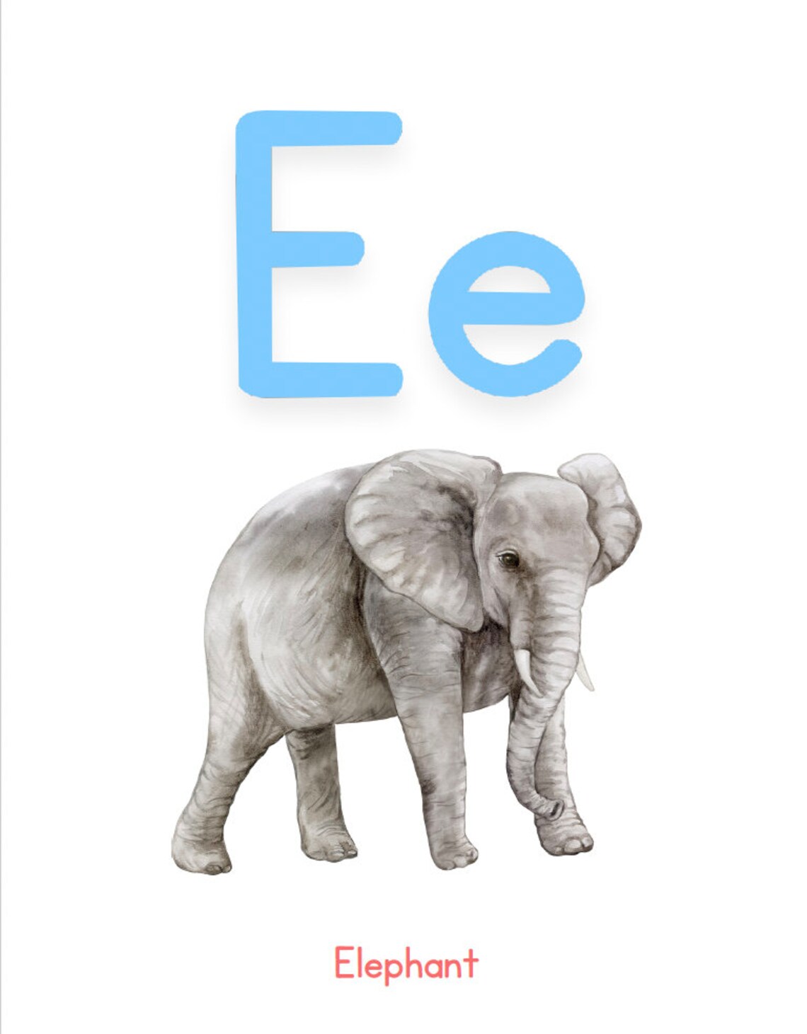 Animal Alphabet Cards - Digital Download, Alphabet Flash Cards ...