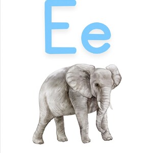 Animal Alphabet Cards - Digital Download, Alphabet Flash Cards ...