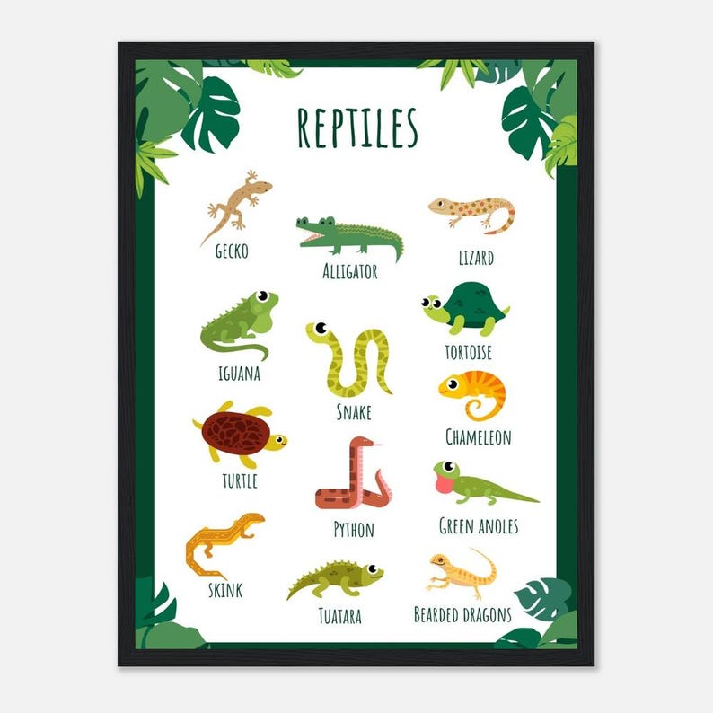 Reptiles Critters: Adorable Animal Print for Kids, Premium Matte Paper ...