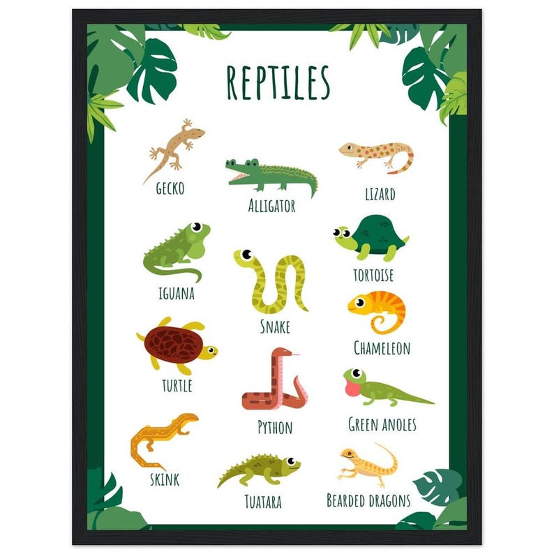 Reptiles Critters: Adorable Animal Print for Kids, Premium Matte Paper ...