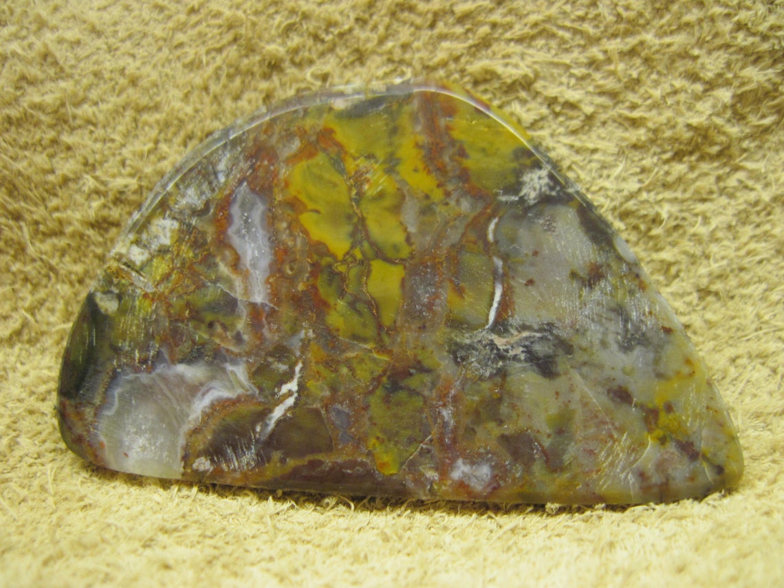 Coprolite Freeform Cabochon Dino Poop Wyoming | Etsy