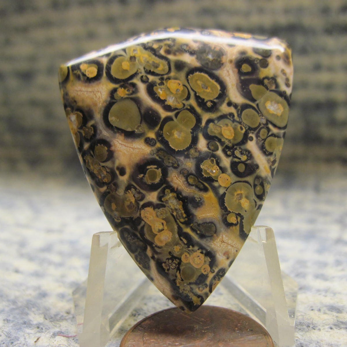 Leopard Skin Jasper Freeform Shield Cabochon - Etsy