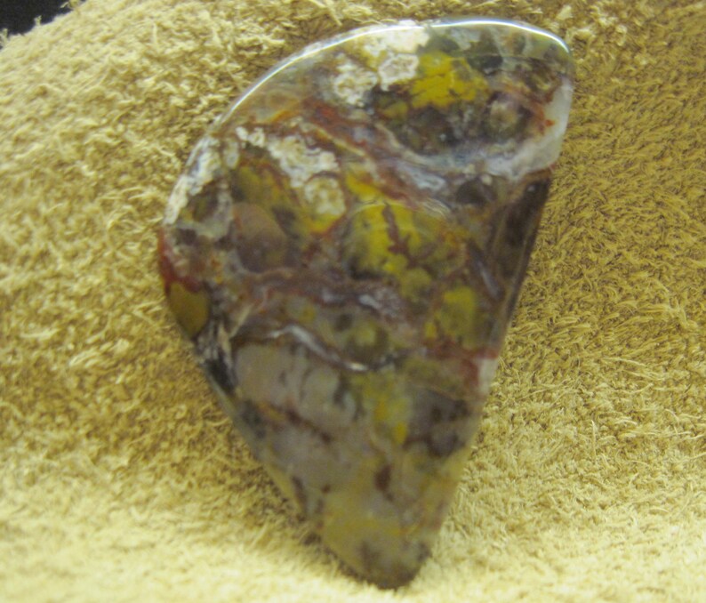 Coprolite Freeform Cabochon Dino Poop Wyoming | Etsy