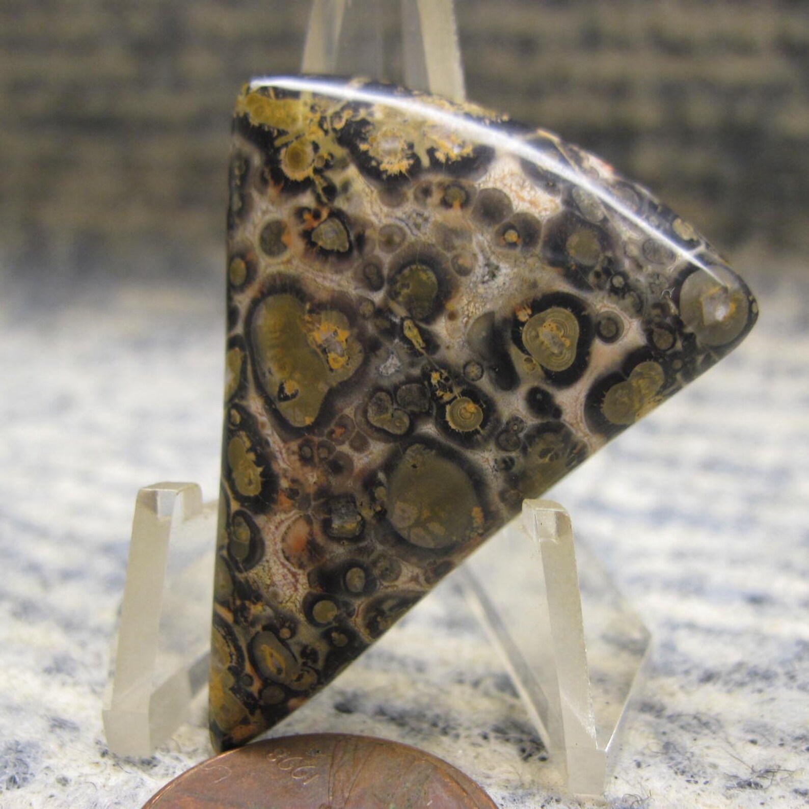 Leopard Skin Jasper Freeform Cabochon | Etsy