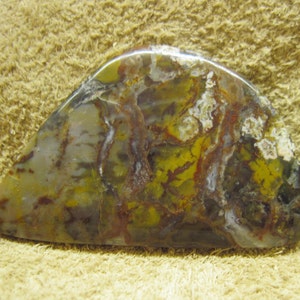 Coprolite Freeform Cabochon Dino Poop Wyoming - Etsy