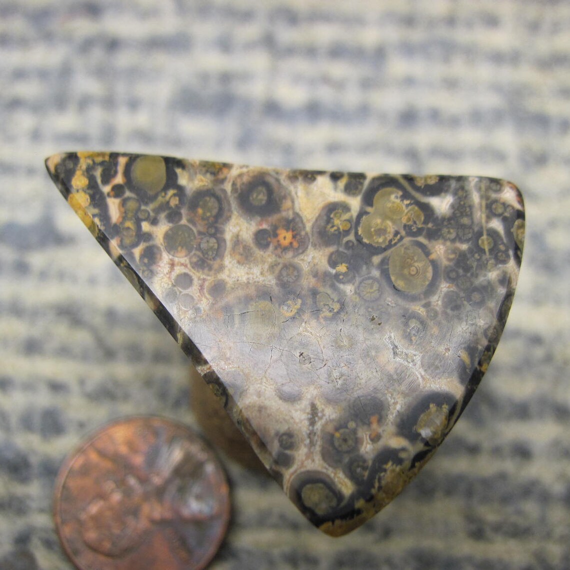 Leopard Skin Jasper Freeform Cabochon | Etsy