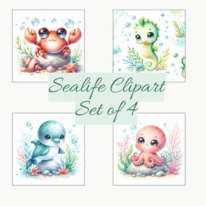Cute Sea Life Clipart, Under the Sea Ocean Animals PNG Bundle, Cute ...