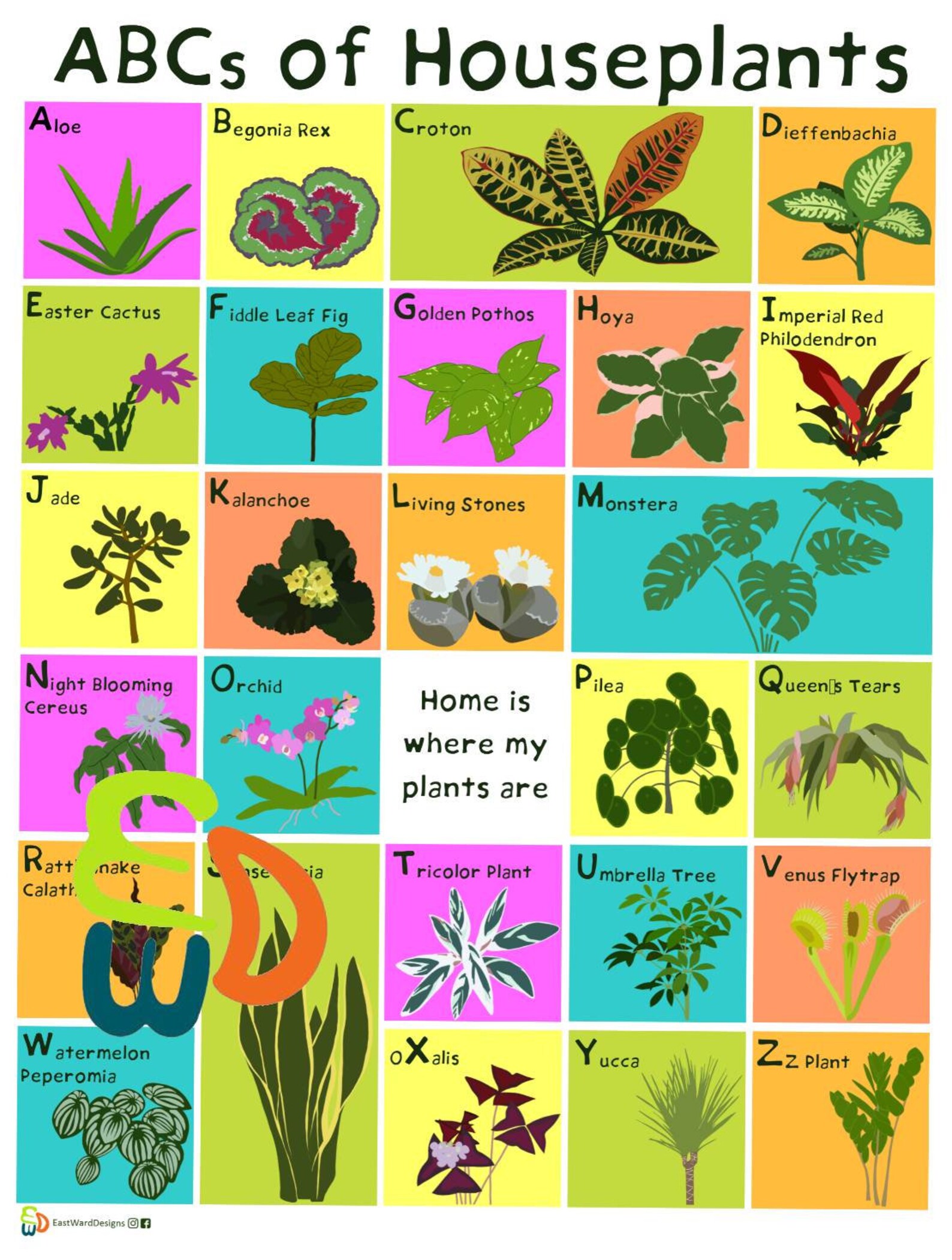 Abcs of Houseplants Kids Plants Plant Lover Plant Addict - Etsy