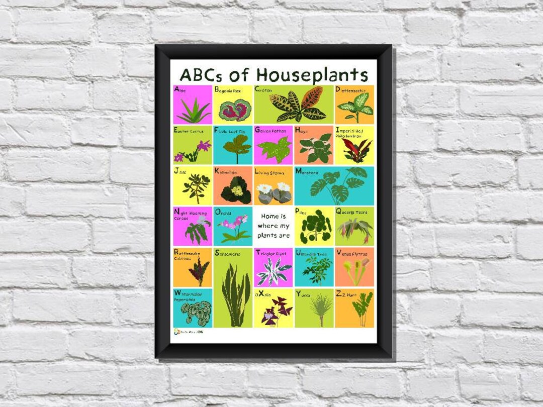 Abcs of Houseplants Kids Plants Plant Lover Plant Addict - Etsy
