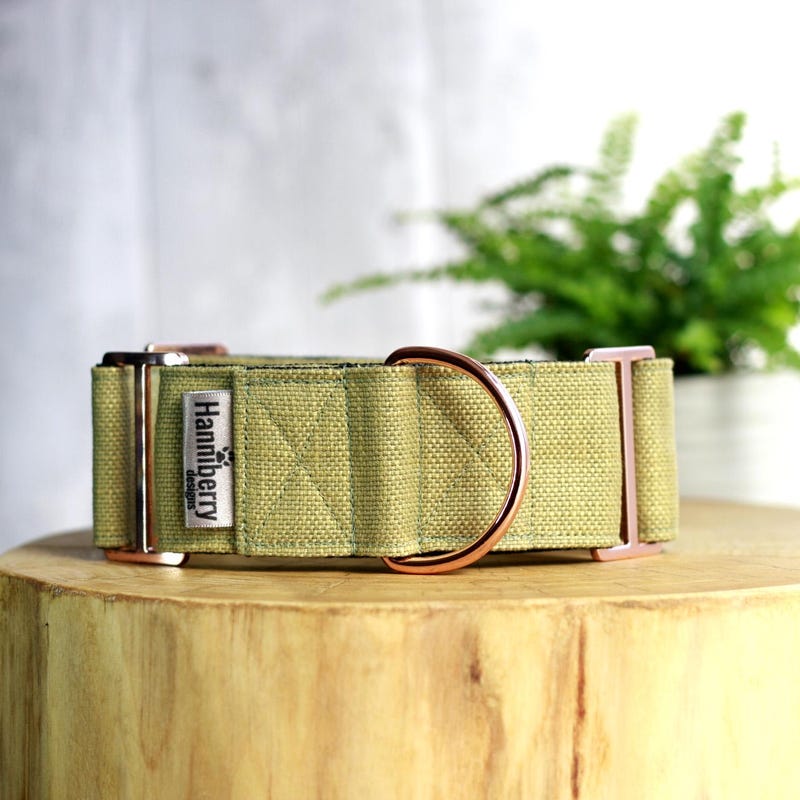 Sighthound Collar - Etsy