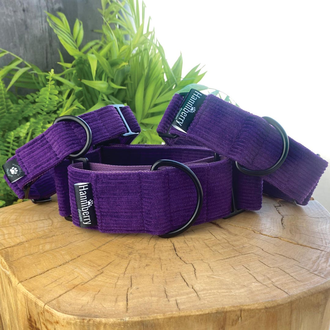 Purple Corduroy Martingale Dog Collar, 1"wide 1.5" or 2" Width Slip ...