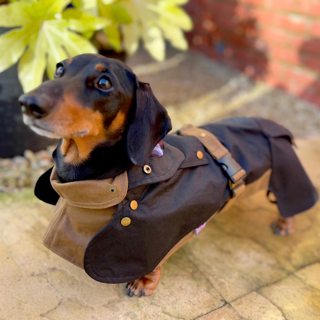 Dog Wax Jacket Waterproof Dog Coat All Breeds, Made to Measure, Custom ...