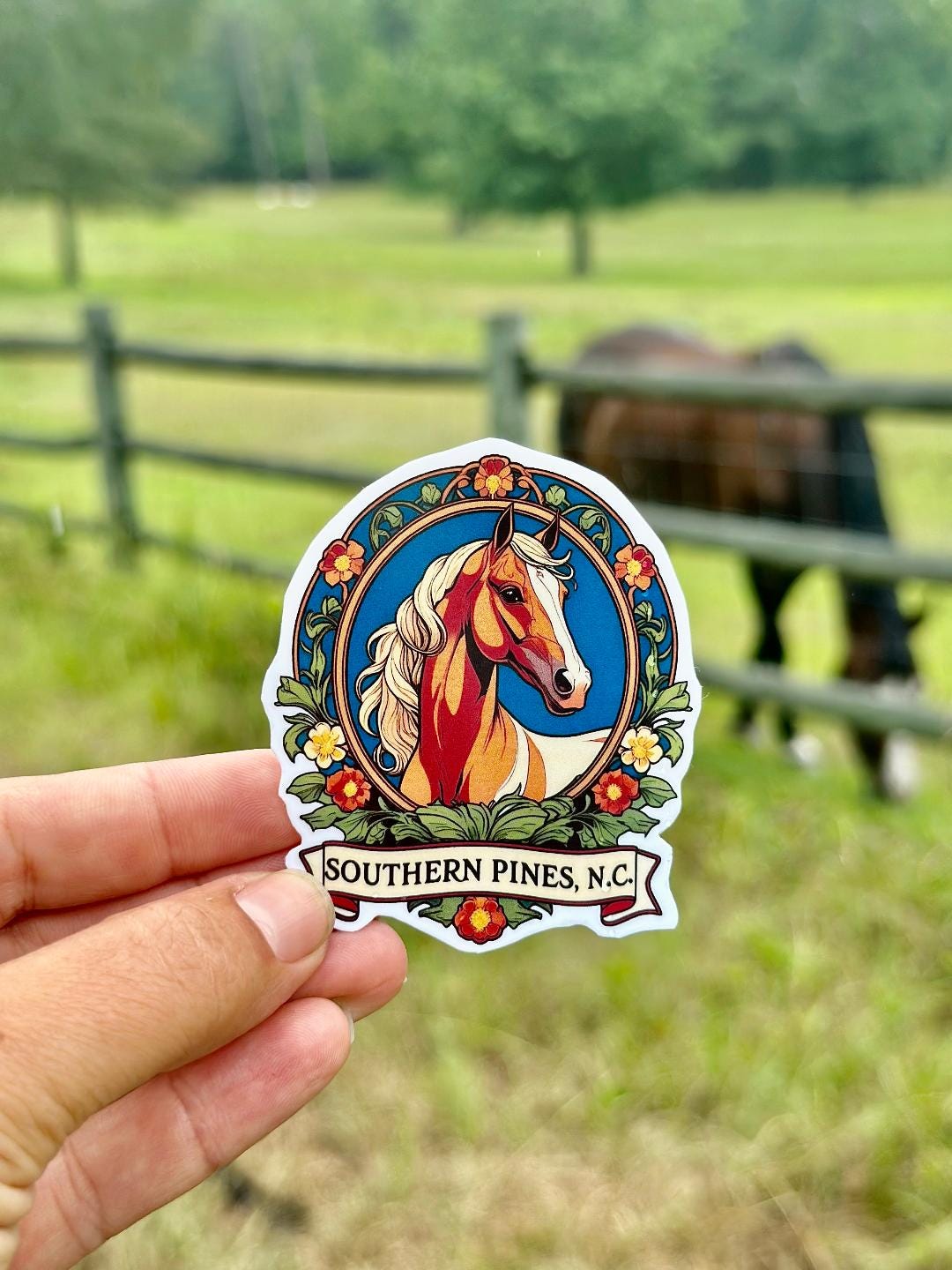 Custom, Horse Sticker, Can Change Wording, Waterproof - Etsy