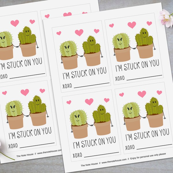 Stuck on You Cactus - Etsy