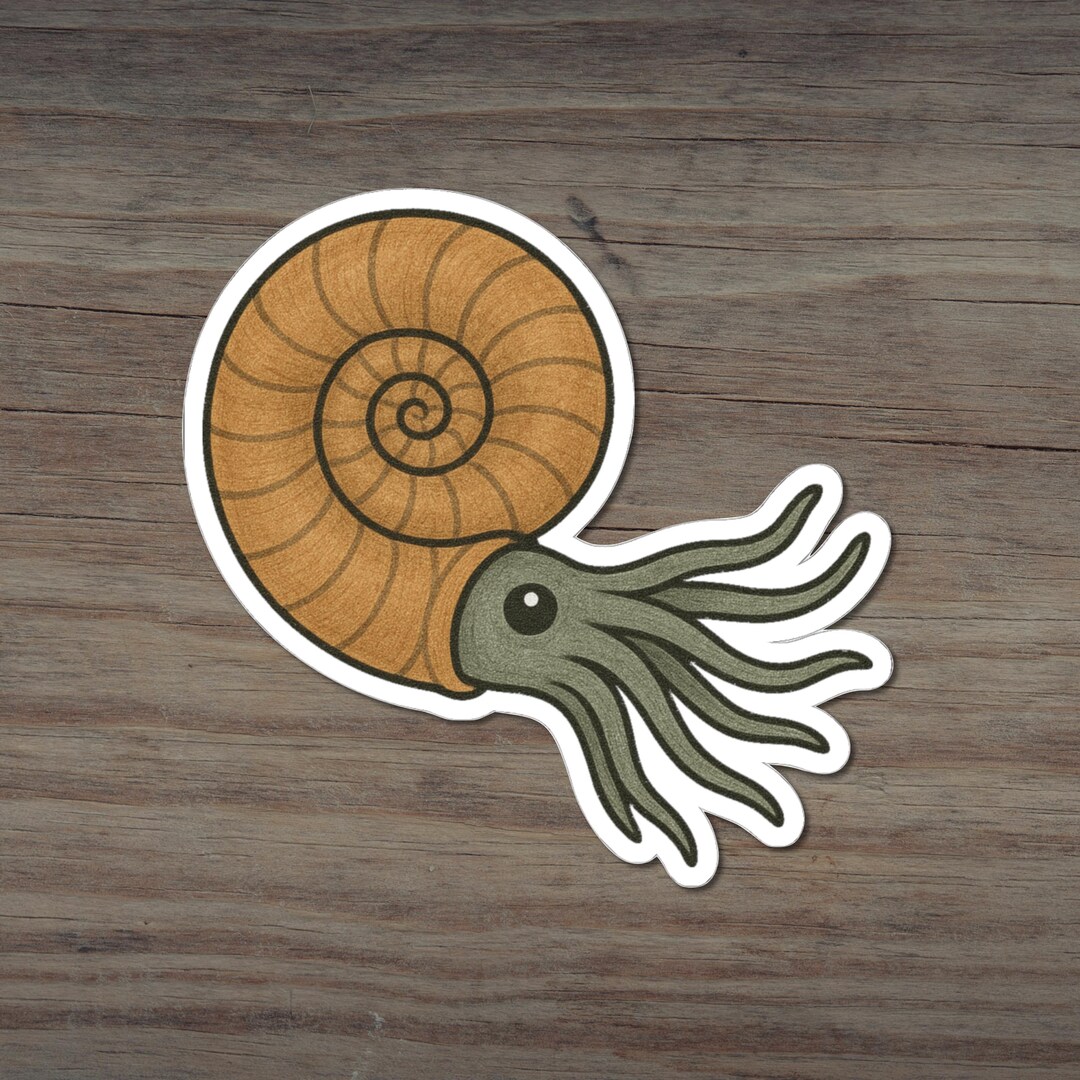 Ammonite Sticker, Cute Prehistoric Sea Creature Illustration, Fossil ...