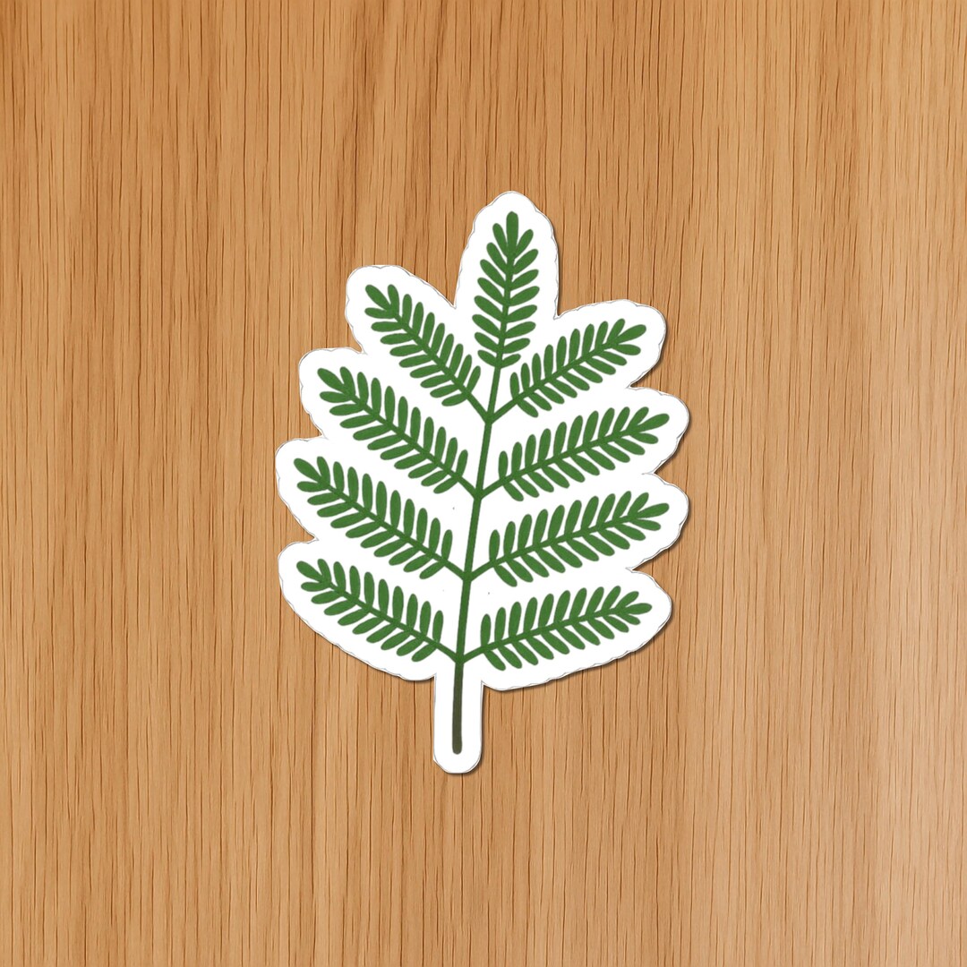 Mimosa Leaf Sticker | Delicate Green Vinyl Decal, Tropical Botanical ...