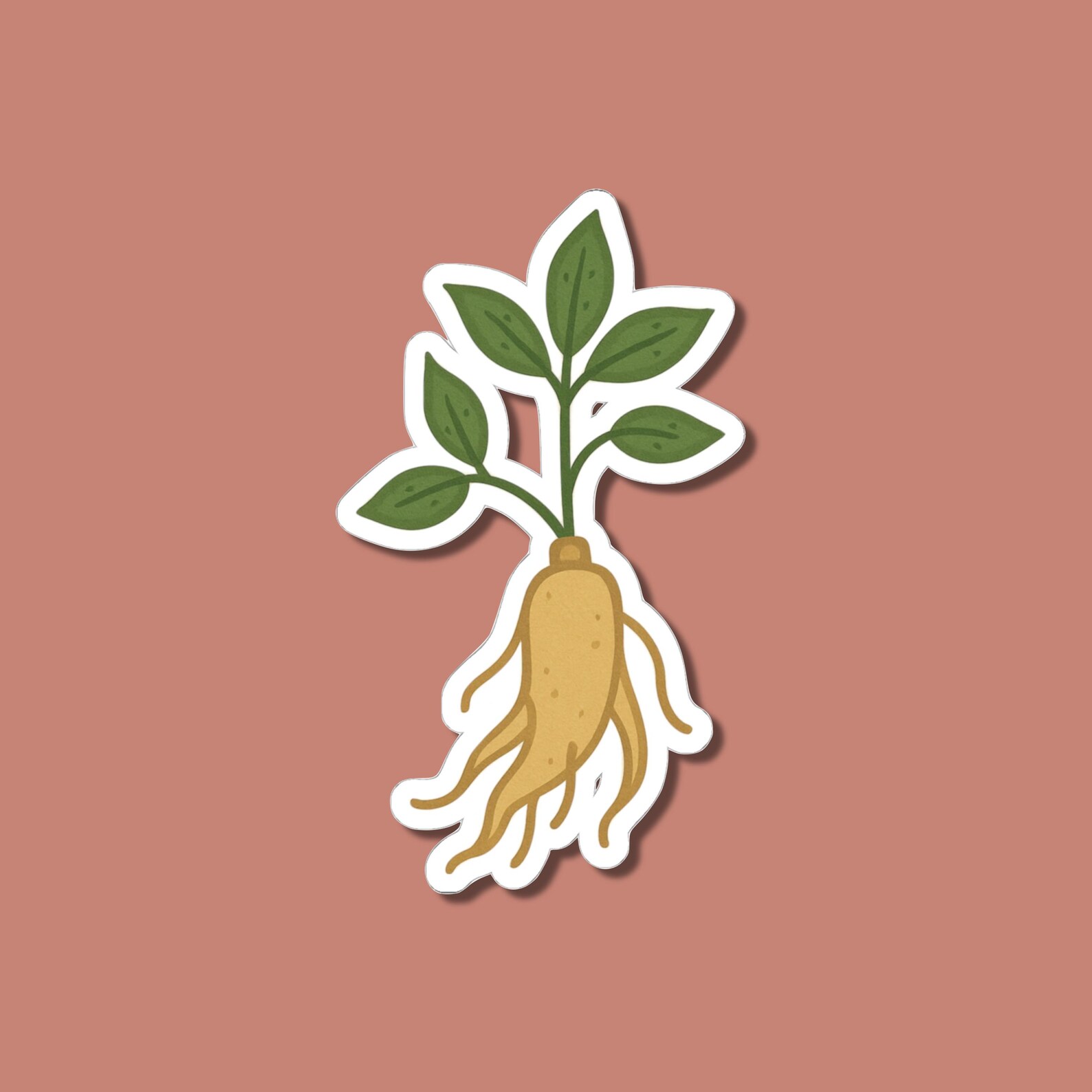 Ginseng Sticker, Healing Root Plant Decal, Medicinal Herb Vinyl ...