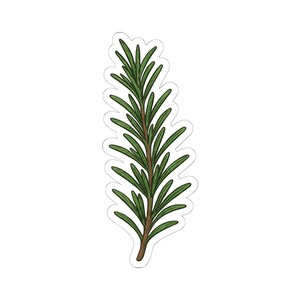 Rosemary Sticker, Fragrant Herb Decal, Culinary Garden Vinyl, Botanical ...