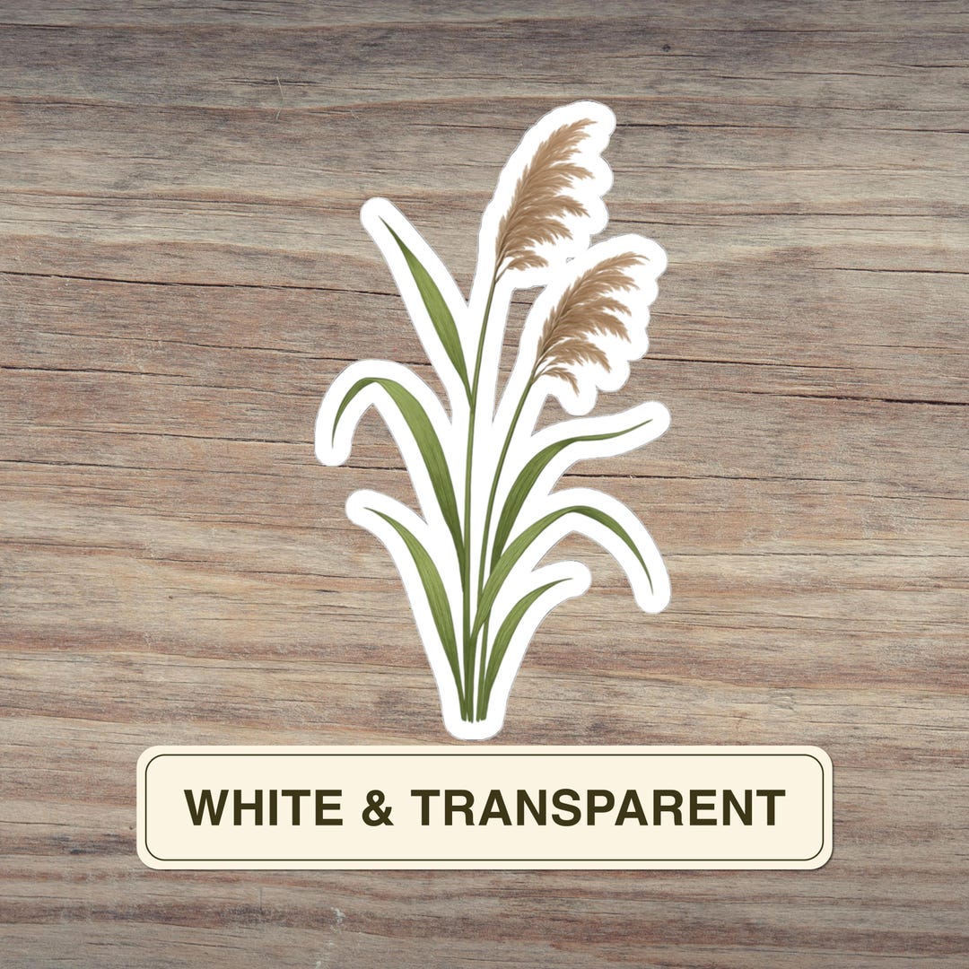 Phragmites Sticker, Tall Wetland Grass Illustration, Coastal Marsh ...