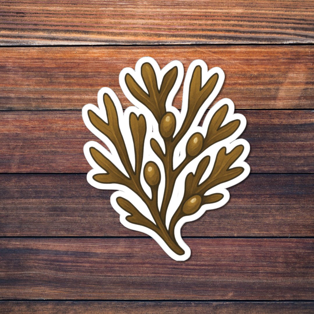 Brown Algae Sticker, Marine Seaweed Illustration, Ocean Plant Vinyl ...