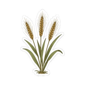 Rye Sticker, Grain Crop Plant Decal, Botanical Farm Vinyl, Agricultural ...