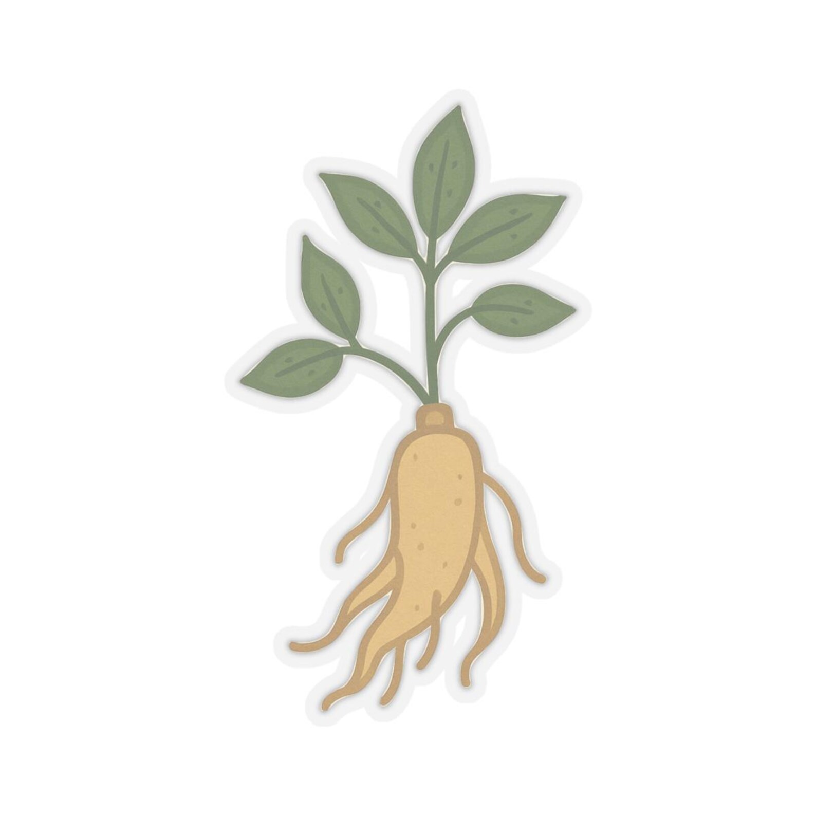 Ginseng Sticker, Healing Root Plant Decal, Medicinal Herb Vinyl ...