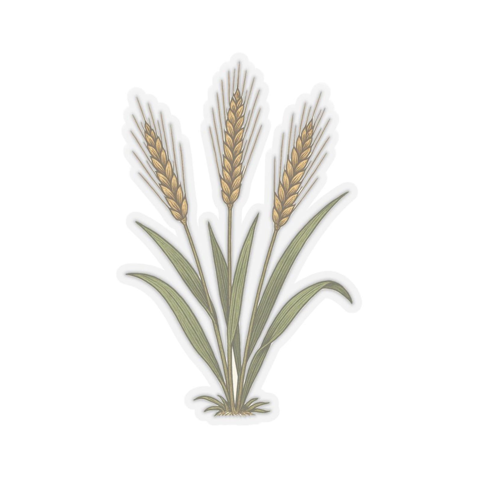 Rye Sticker, Grain Crop Plant Decal, Botanical Farm Vinyl, Agricultural ...
