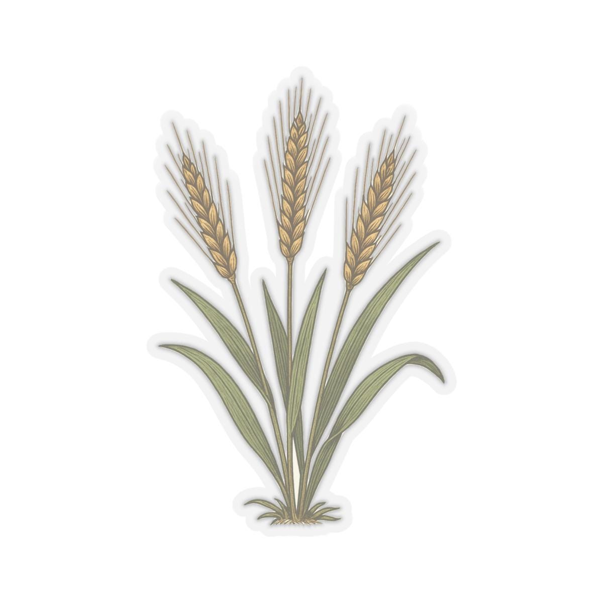 Rye Sticker, Grain Crop Plant Decal, Botanical Farm Vinyl, Agricultural ...