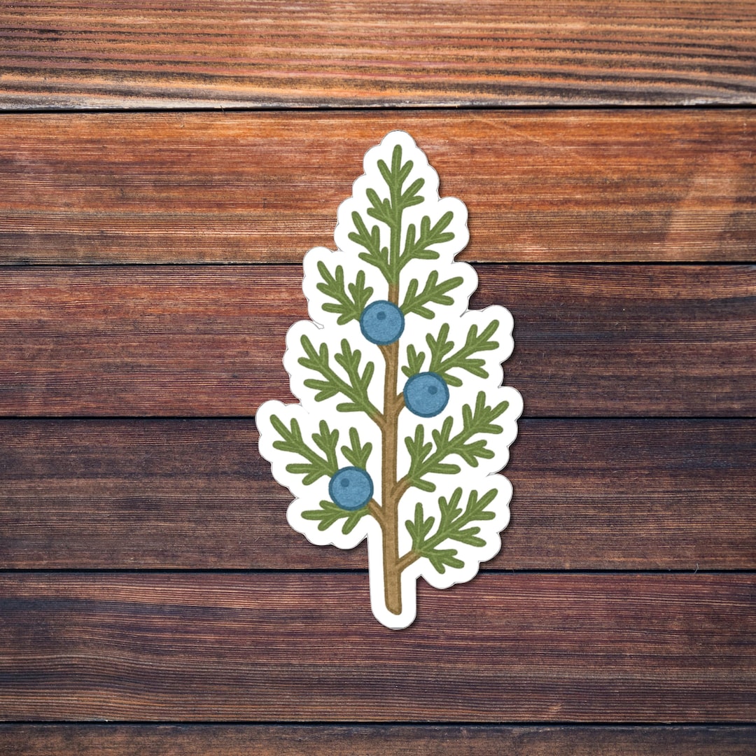 Juniper Sticker, Evergreen Shrub Decal, Aromatic Plant Vinyl, Botanical ...