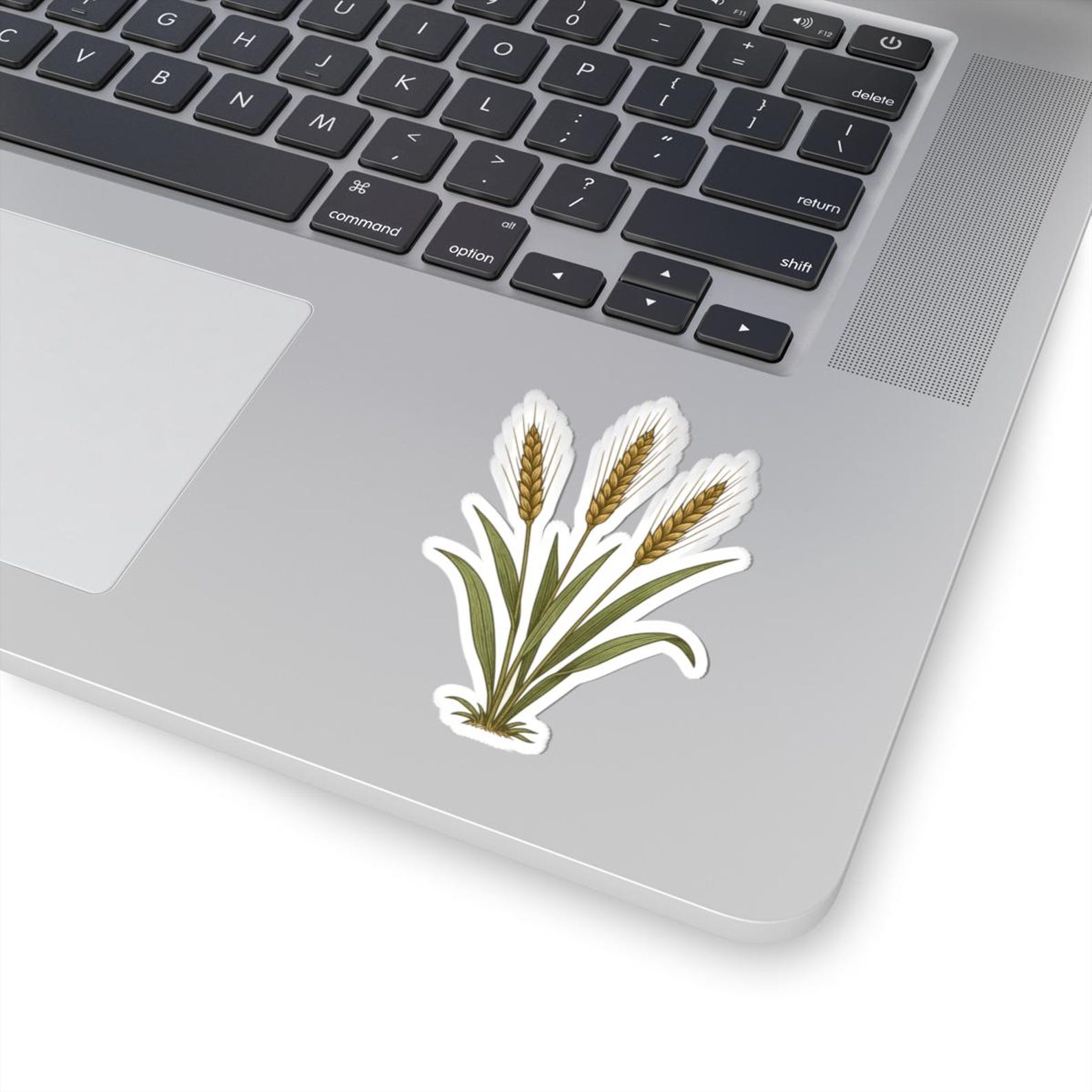 Rye Sticker, Grain Crop Plant Decal, Botanical Farm Vinyl, Agricultural ...