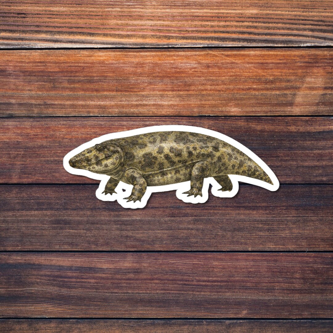 Eryops Sticker, Prehistoric Amphibian, Paleo Art, Fossil Animal ...