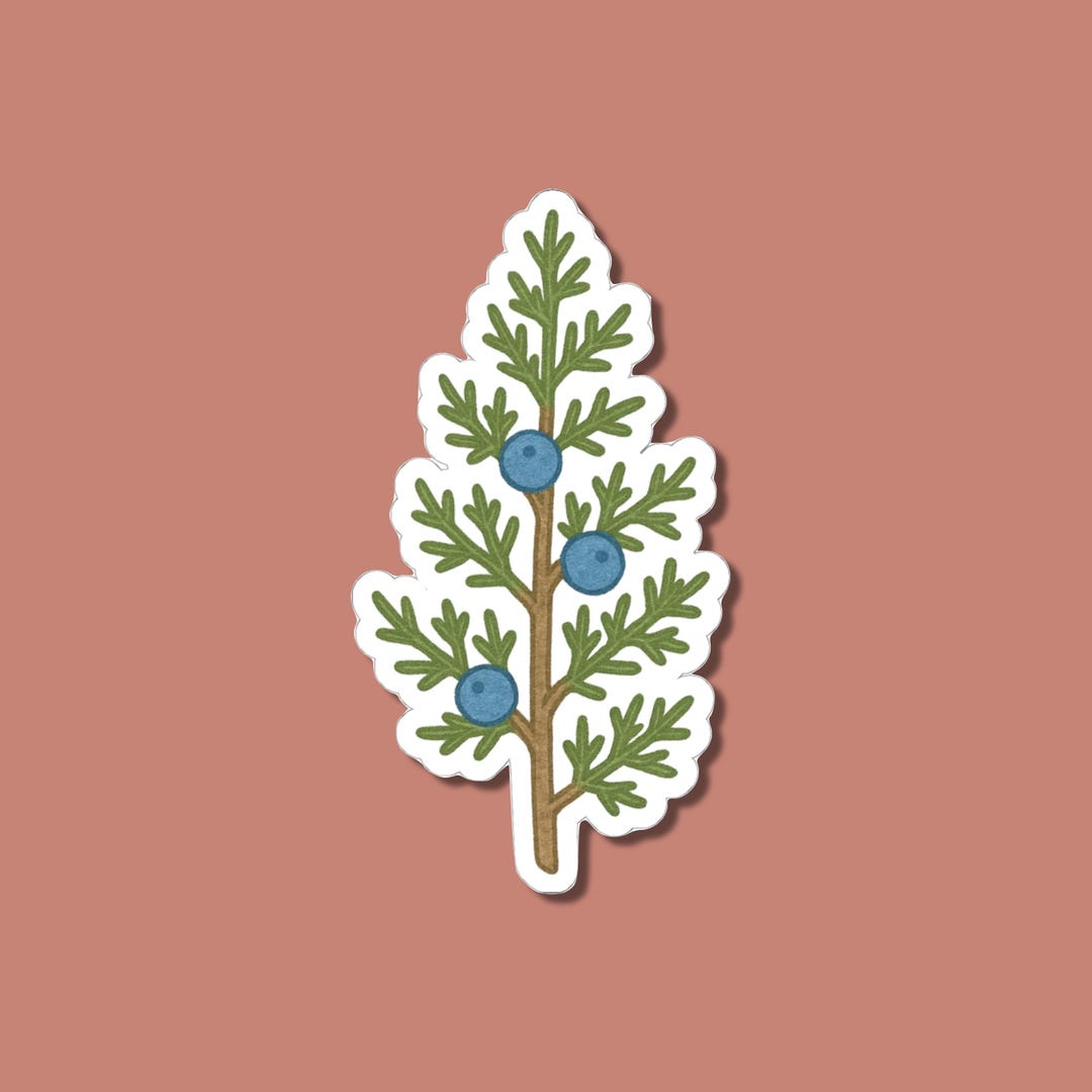 Juniper Sticker, Evergreen Shrub Decal, Aromatic Plant Vinyl, Botanical ...