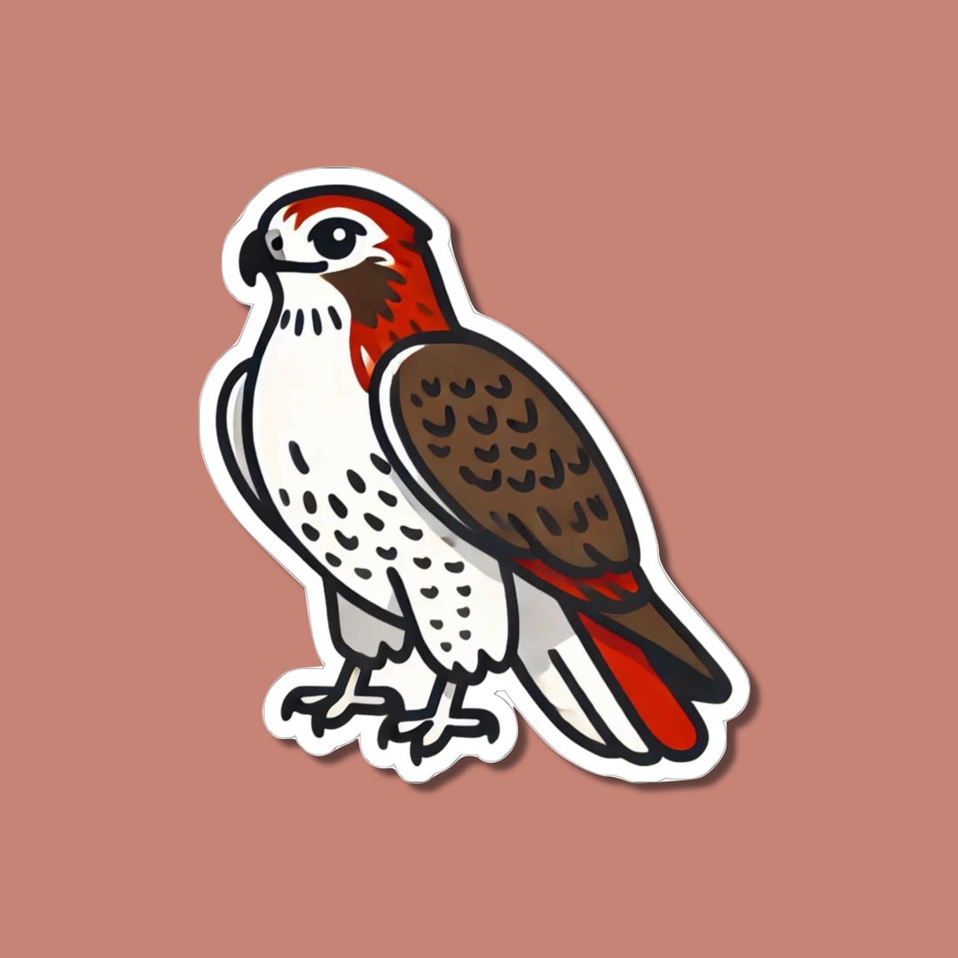 Red Tailed Hawk Sticker, Majestic Bird of Prey Decal, Raptor Vinyl ...