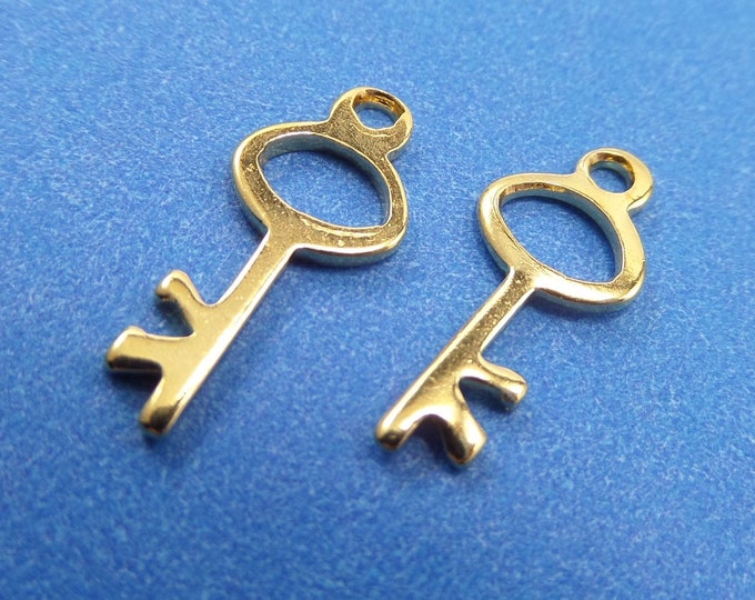 Tiny Gold Skeleton Key Charms 10 Charms Stainless Steel 15 X 6 X 1mm ...