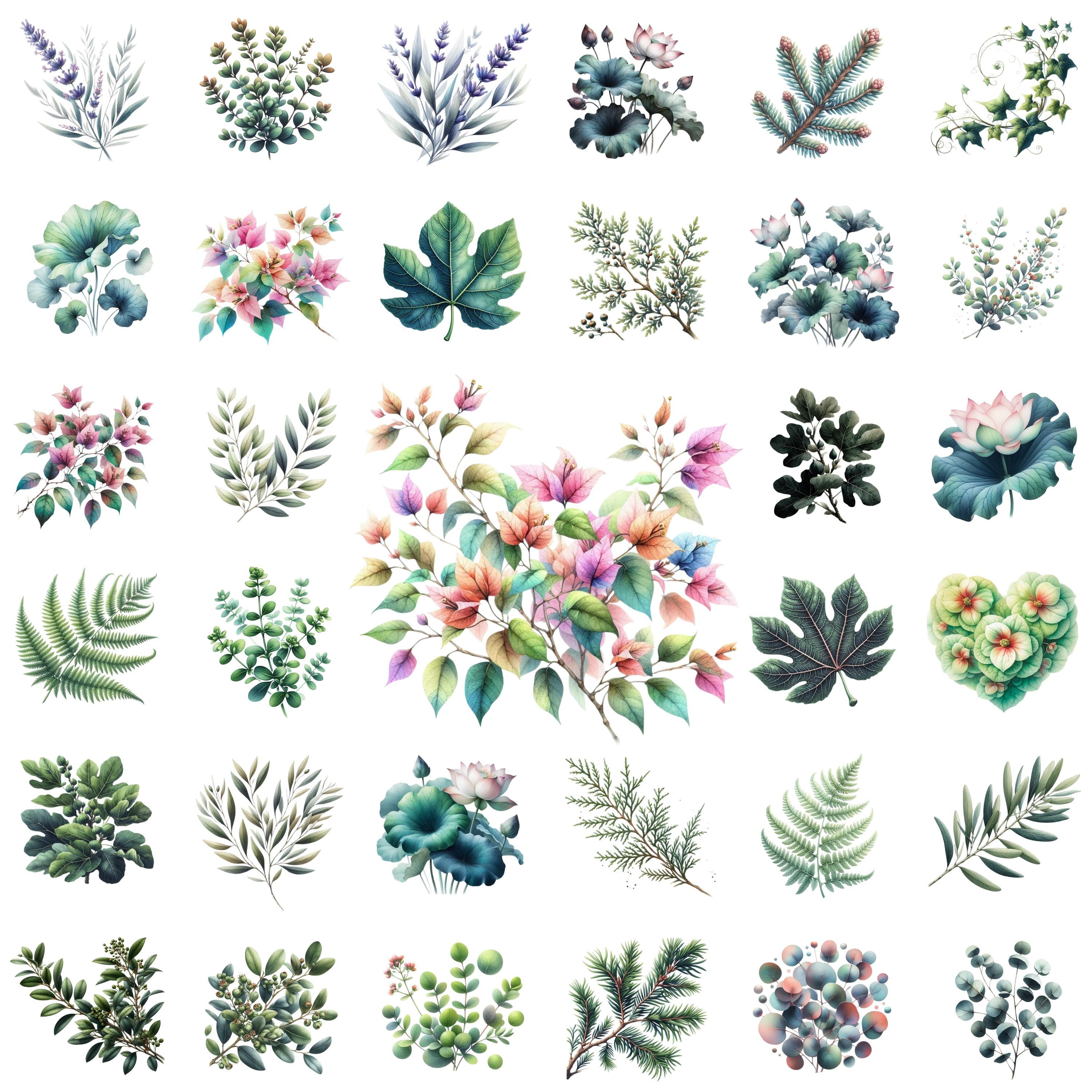 Watercolor Leaf Clipart Bundle | Floral Leaf PNG Set | Botanical ...