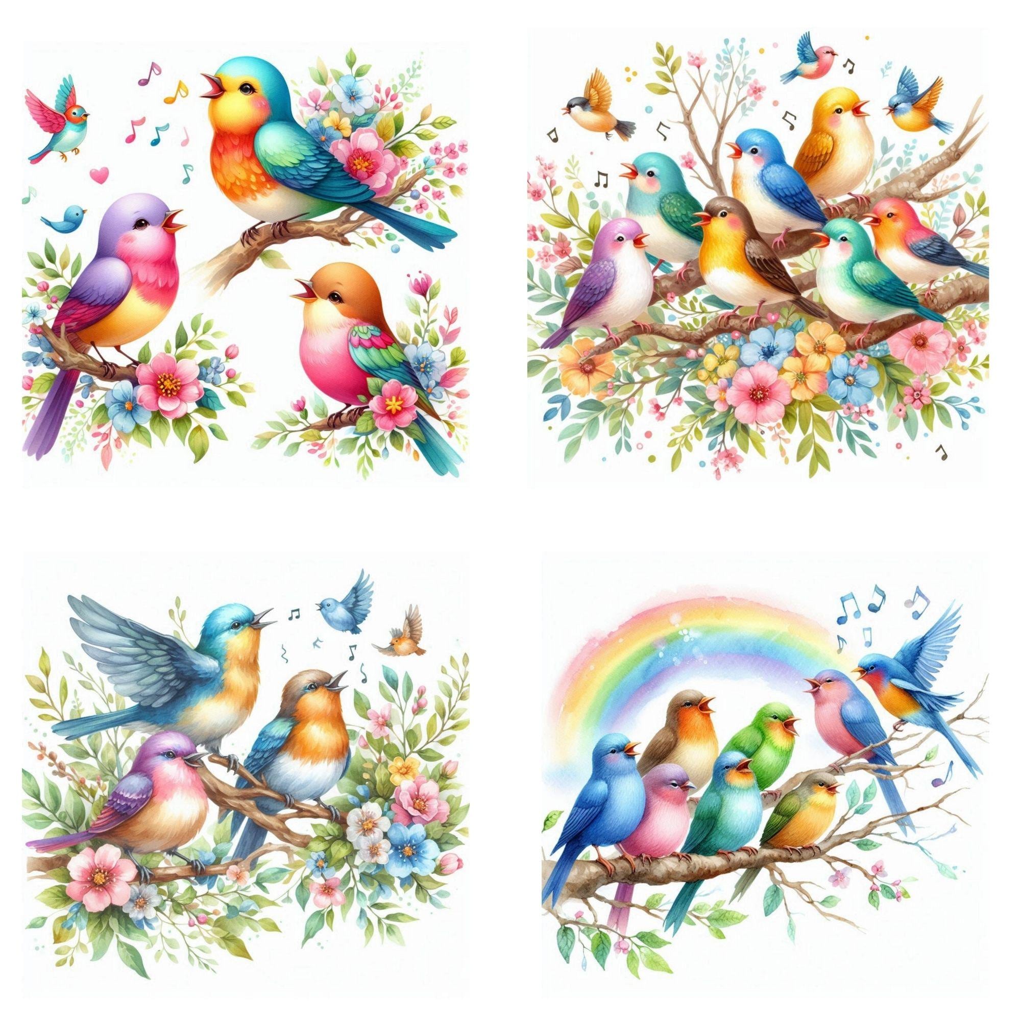 Colorful Birds PNG Clipart Set | Cute Bird Illustrations | Digital Bird ...