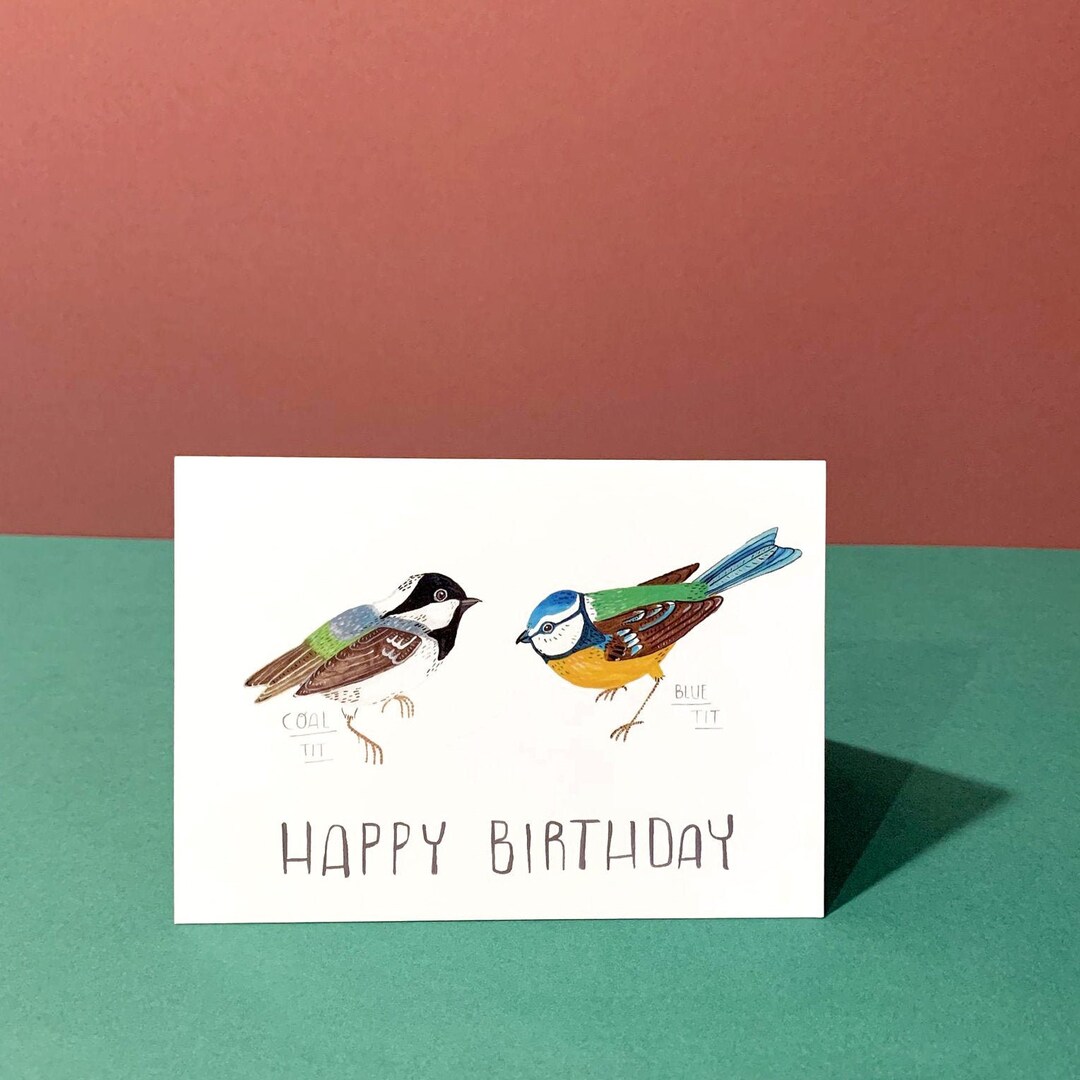 Pair Of Tits Birthday Card Blue Tit And Coal Tit Cute Illustrated Bird