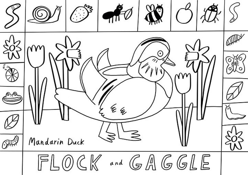Printable Bird Colouring Sheets - Flock and Gaggle, Mandarin Duck ...