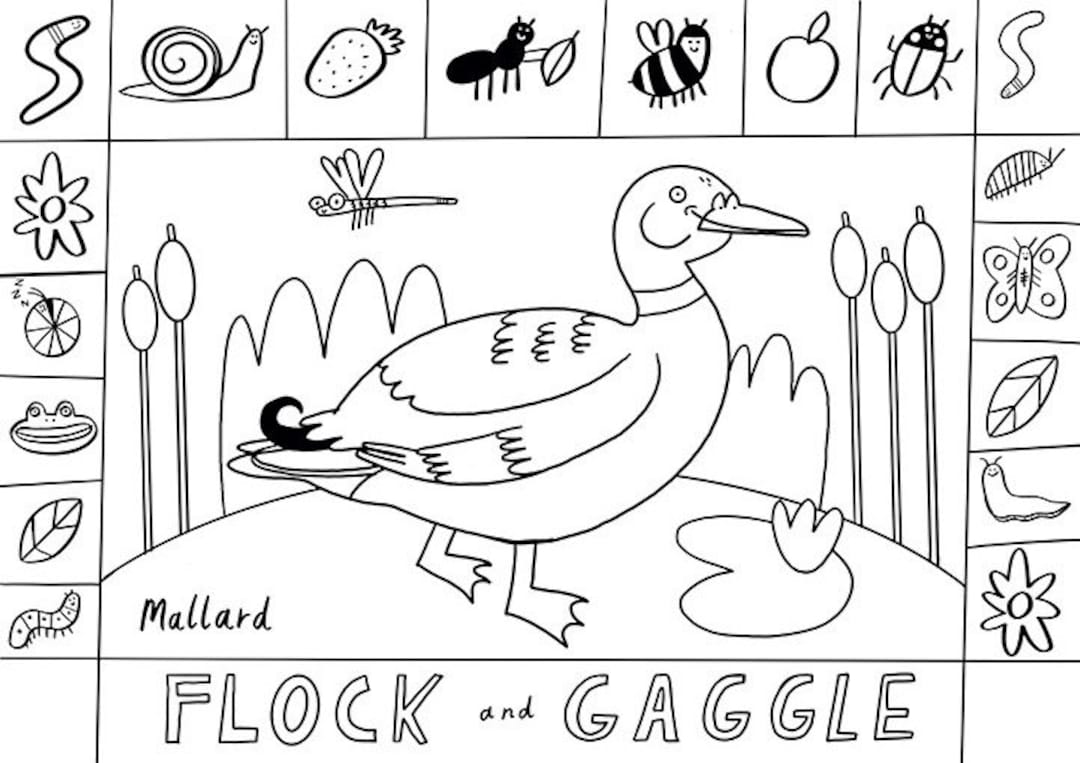 Printable Bird Colouring Sheets - Flock and Gaggle, Mandarin Duck ...