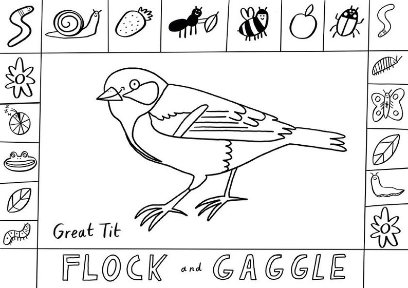 Printable Bird Colouring Sheets - Flock and Gaggle, Mandarin Duck ...