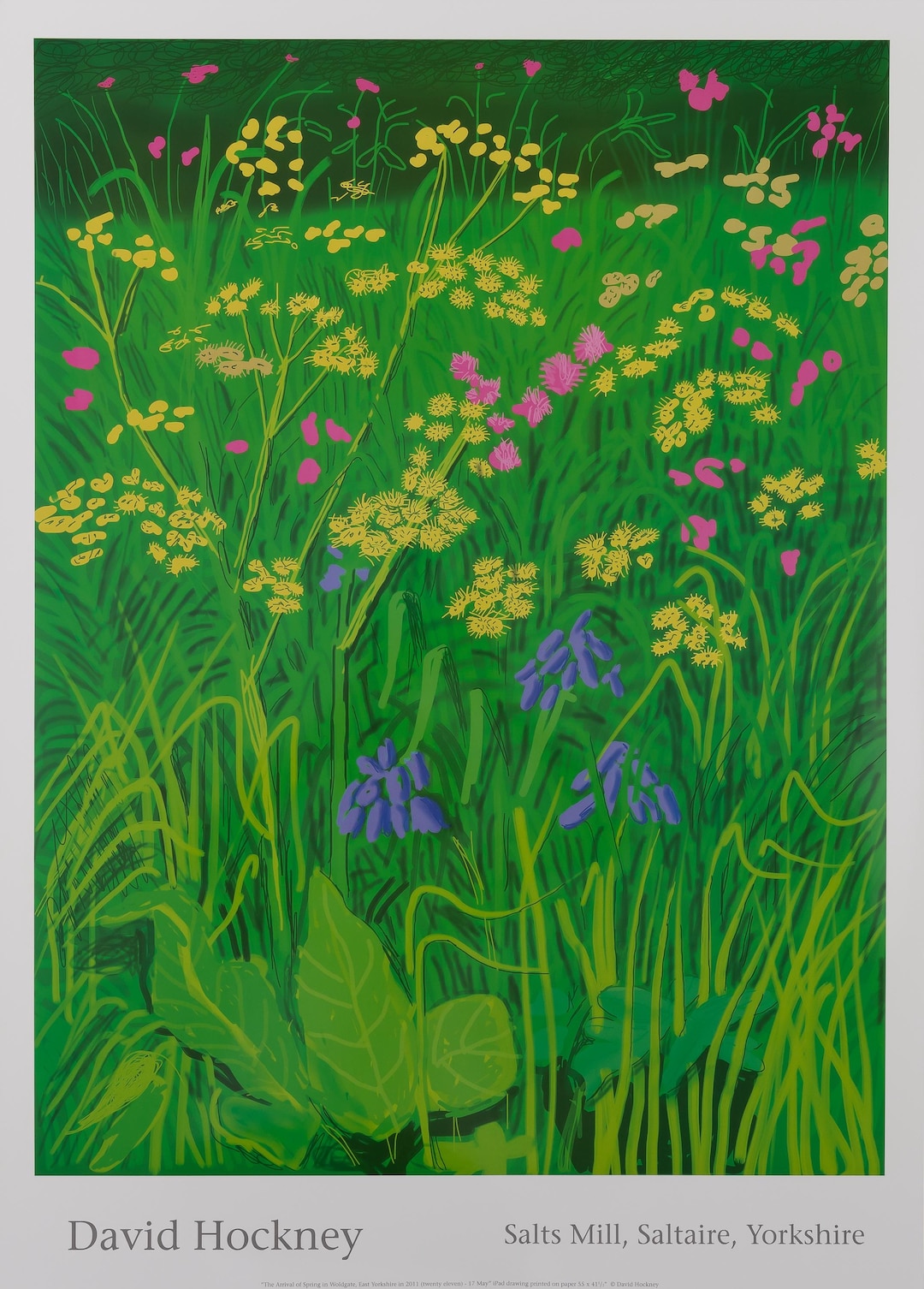 David Hockney: Flower Fields - Original Color Poster - Etsy