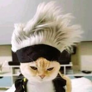 Gojo Satoru Wig & Eye Mask for Cats and Dogs, Jujutsu Kaizen Pet ...