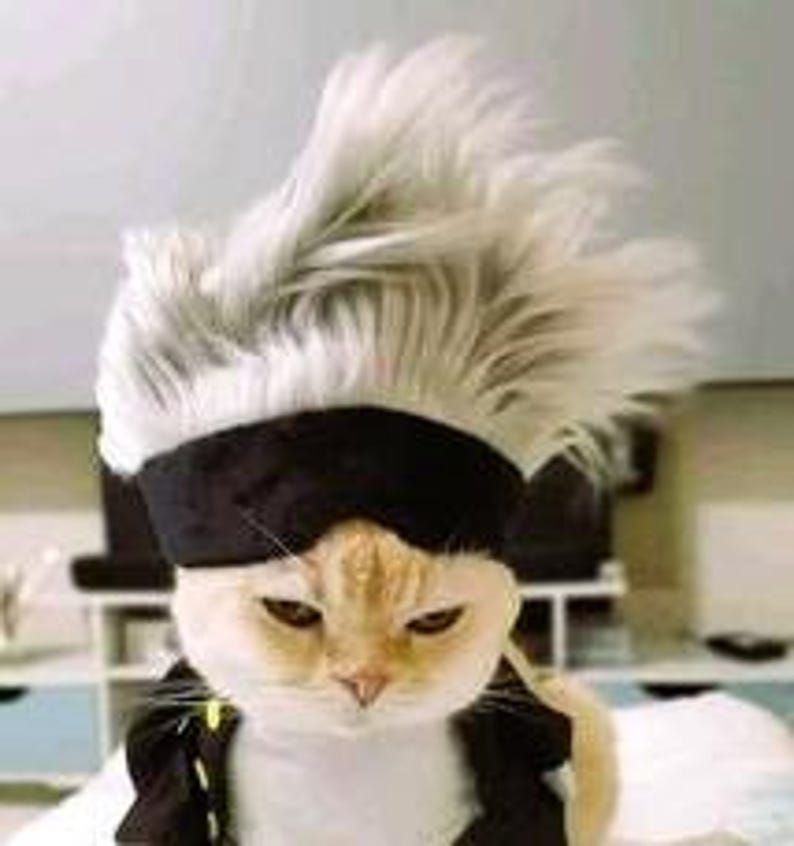 Gojo Satoru Wig & Eye Mask for Cats and Dogs, Jujutsu Kaizen Pet ...