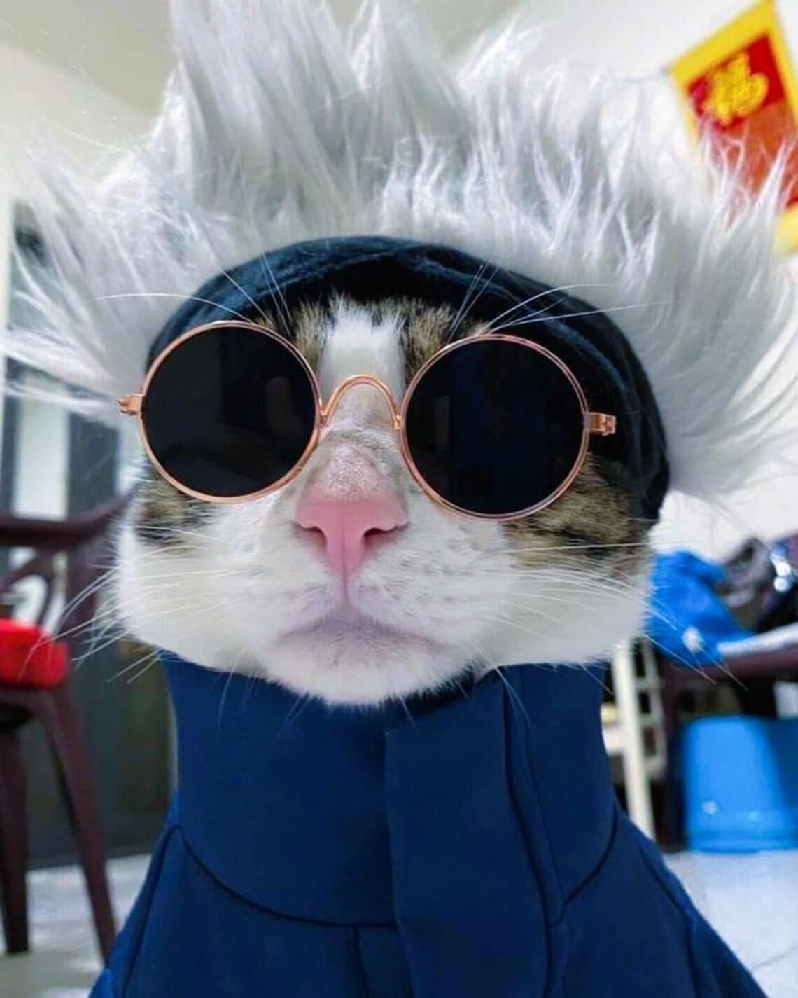 Gojo Satoru Wig & Eye Mask for Cats and Dogs, Jujutsu Kaizen Pet ...