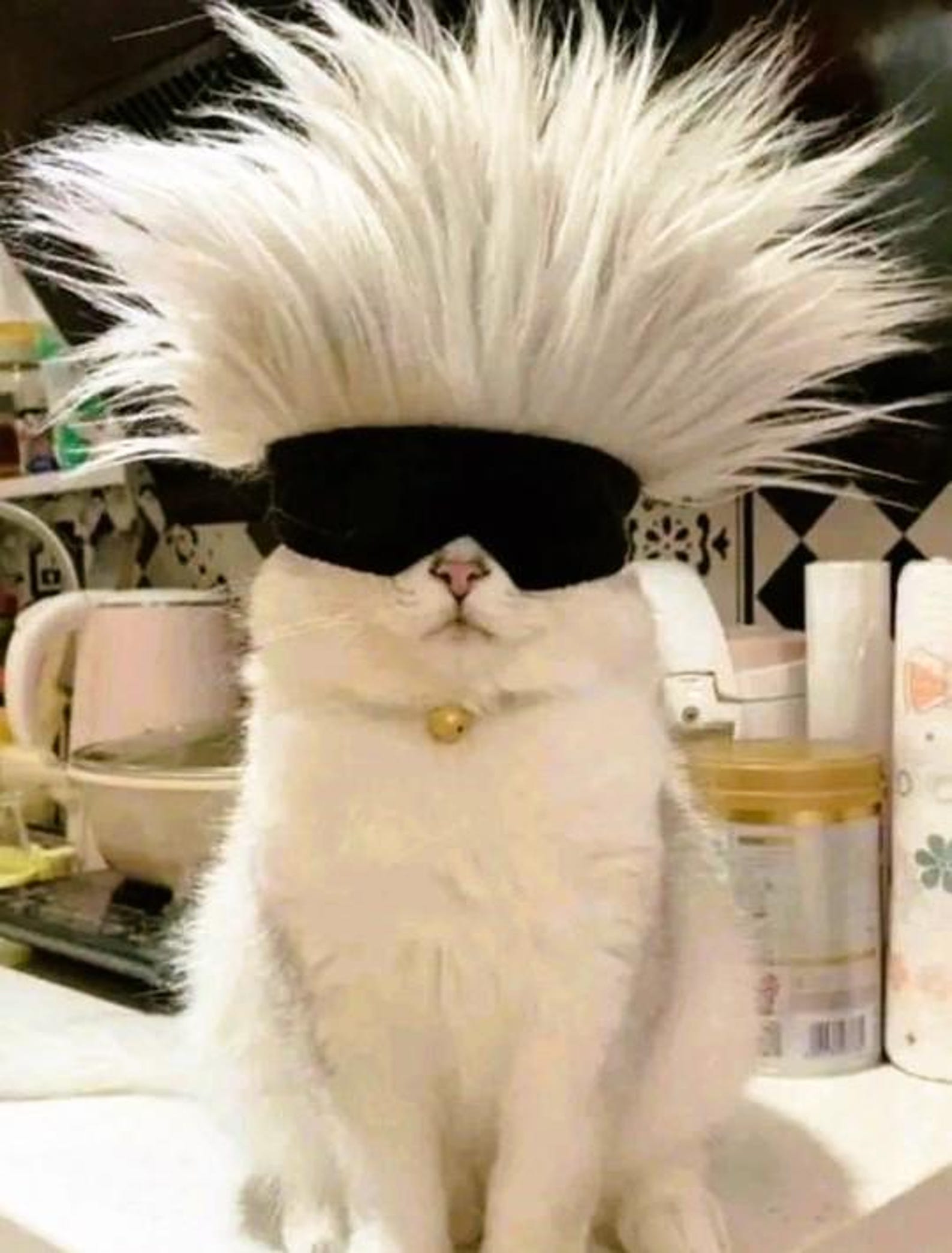 Gojo Satoru Wig & Eye Mask for Cats and Dogs, Jujutsu Kaizen Pet ...