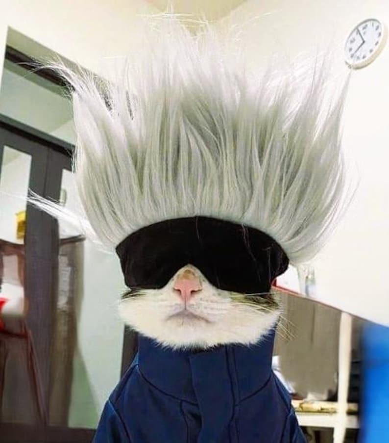 Gojo Satoru Wig & Eye Mask for Cats and Dogs, Jujutsu Kaizen Pet ...